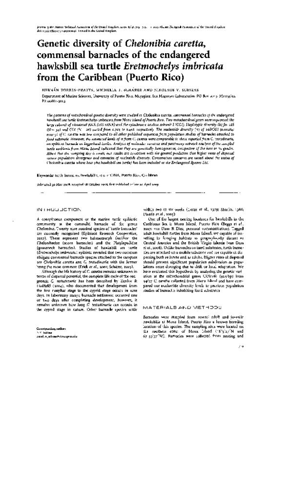 (PDF) Genetic diversity of Chelonibia caretta , commensal barnacles of ...