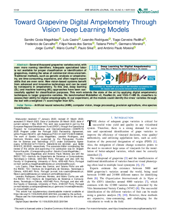 (PDF) Toward Grapevine Digital Ampelometry Through Vision Deep Learning Models