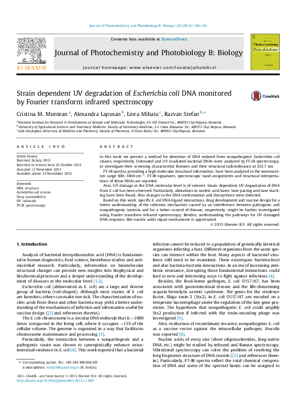(PDF) Strain dependent UV degradation of Escherichia coli DNA monitored ...