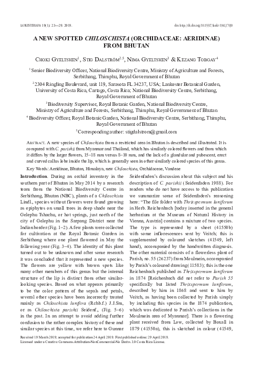 (PDF) A new spotted Chiloschista (Orchidaceae: Aeridinae) from Bhutan ...