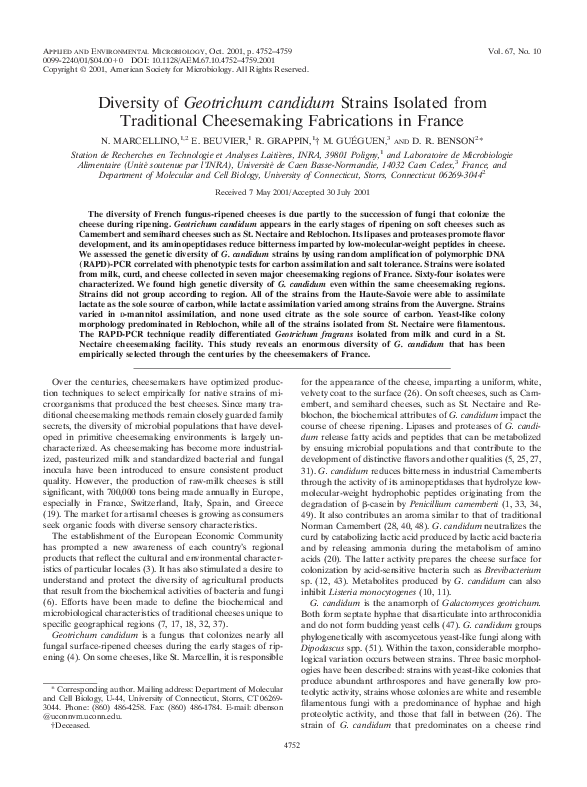 (PDF) Diversity of Geotrichum candidum Strains Isolated from ...