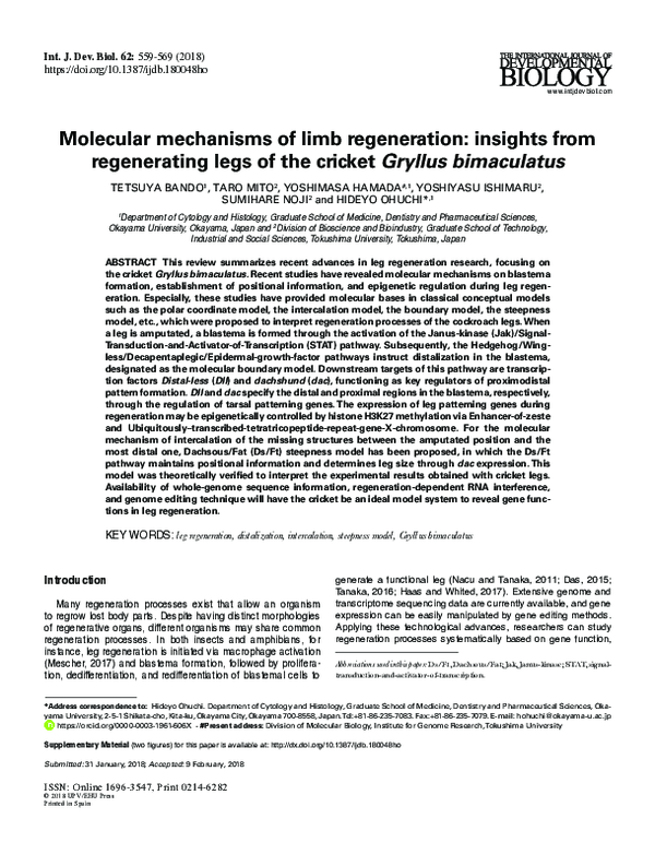 (PDF) Molecular mechanisms of limb regeneration: insights from ...