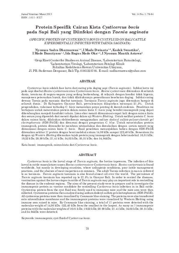 (PDF) Protein Spesifik Cairan Kista Cysticercus bovis pada Sapi Bali ...