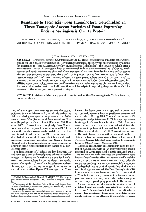 (PDF) Resistance to Tecia solanivora (Lepidoptera: Gelechiidae) in Three Transgenic Andean ...
