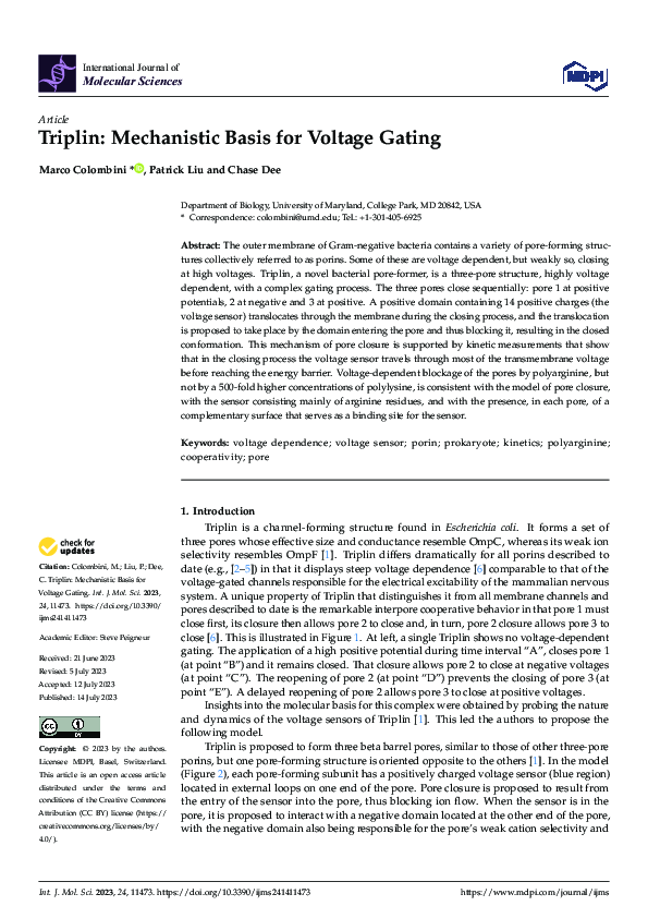 (PDF) Triplin: Mechanistic Basis for Voltage Gating | Marco Colombini ...