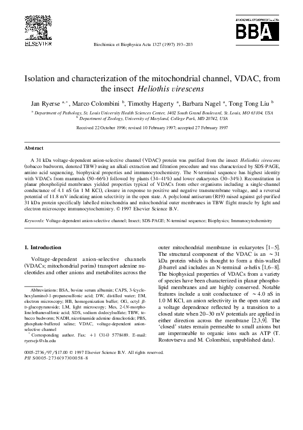 (PDF) Isolation and characterization of the mitochondrial channel, VDAC ...