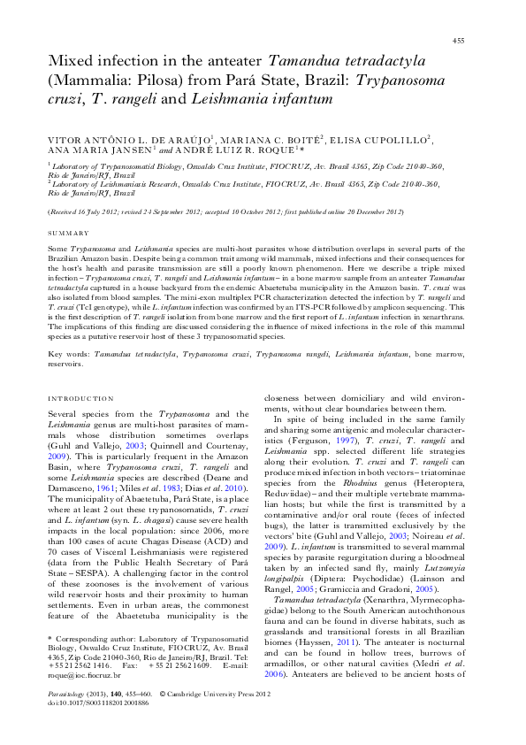(PDF) Mixed infection in the anteater Tamandua tetradactyla (Mammalia ...
