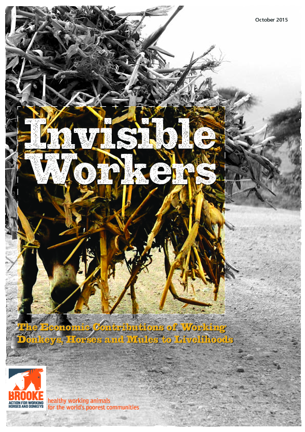 (PDF) Invisible workers report (2)