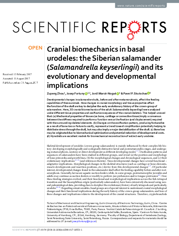 (PDF) Cranial biomechanics in basal urodeles: the Siberian salamander ...