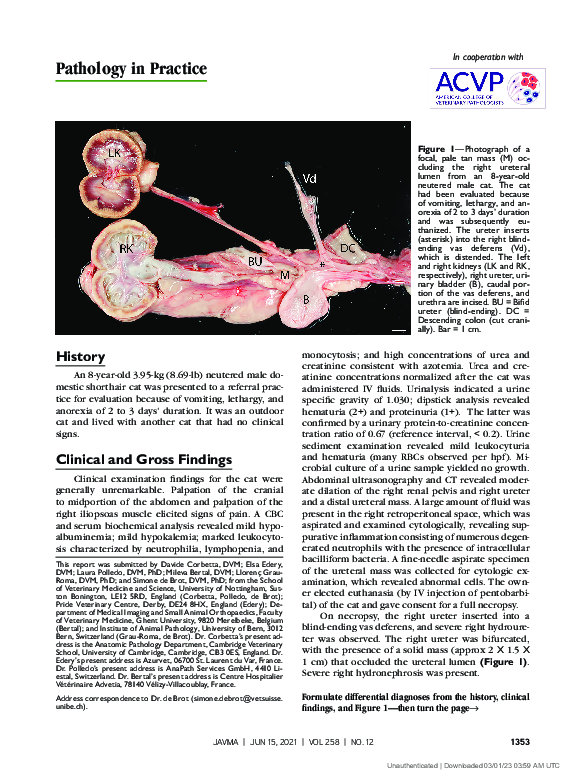 (PDF) Pathology in Practice