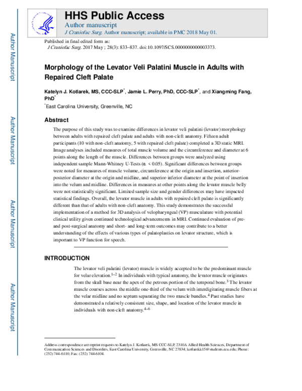 (PDF) Morphology of the Levator Veli Palatini Muscle in Adults With ...