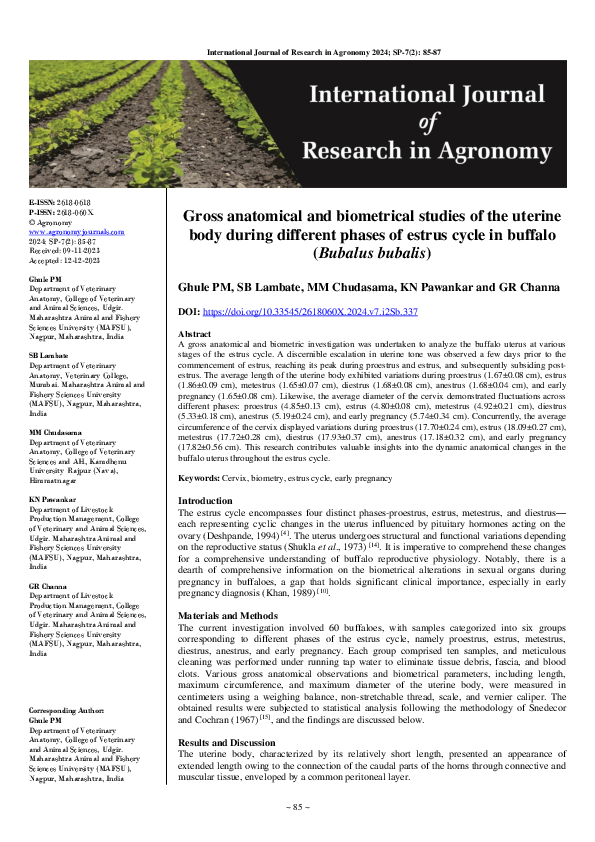 (PDF) Gross anatomical and biometrical studies of the uterine body ...
