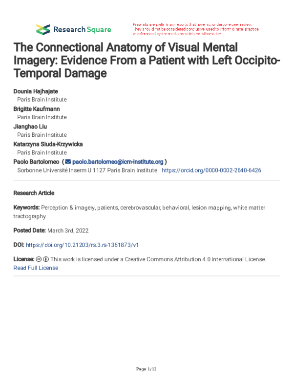 (PDF) The Connectional Anatomy of Visual Mental Imagery: Evidence From ...