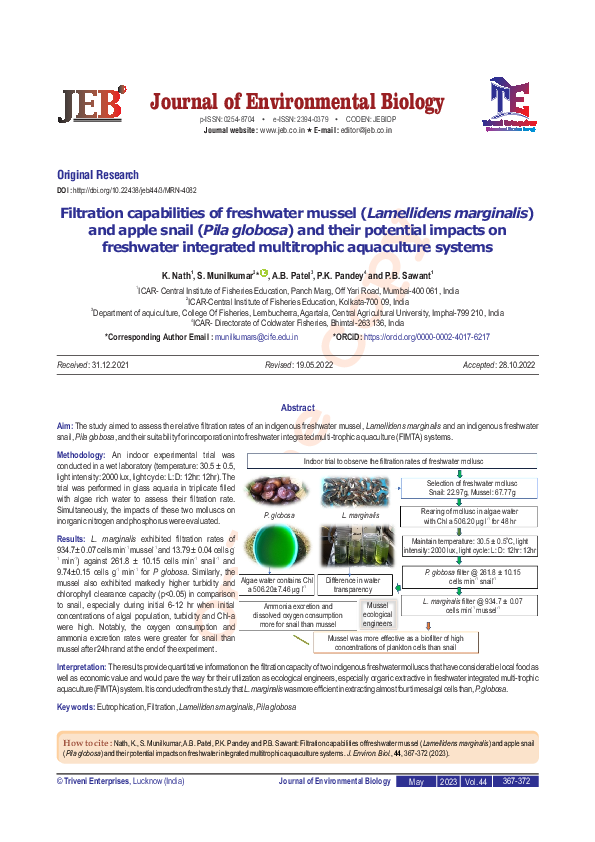 (PDF) Filtration capabilities of freshwater mussel (Lamellidens ...