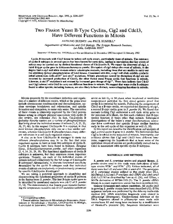 (PDF) Two fission yeast B-type cyclins, cig2 and Cdc13, have different ...