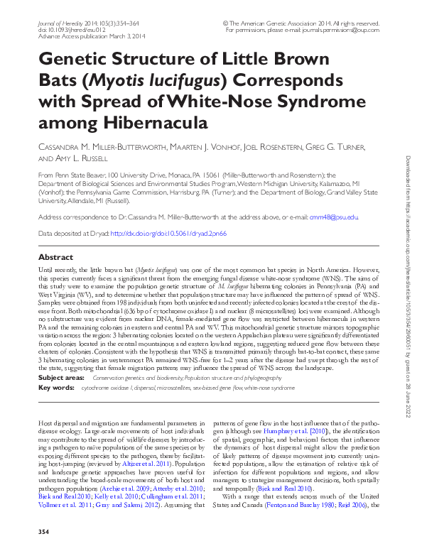 (PDF) Genetic Structure of Little Brown Bats (Myotis lucifugus ...