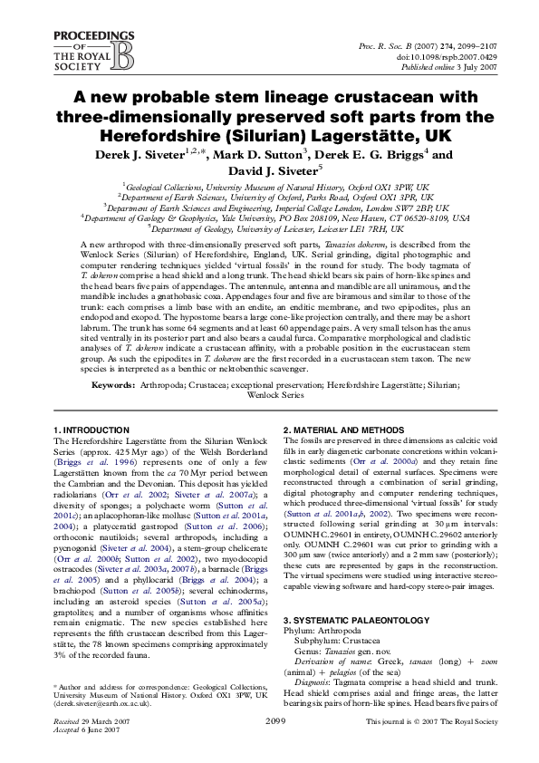 (PDF) A new probable stem lineage crustacean with three-dimensionally ...