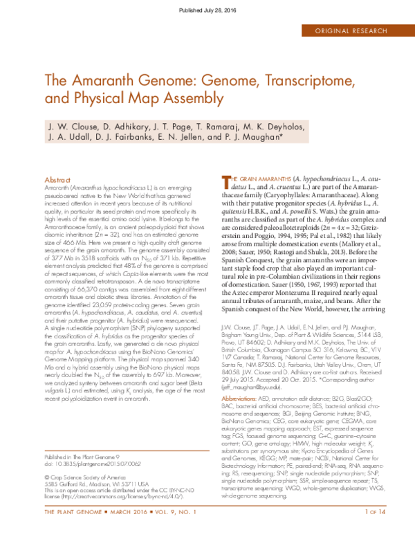(PDF) The Amaranth Genome: Genome, Transcriptome, and Physical Map Assembly