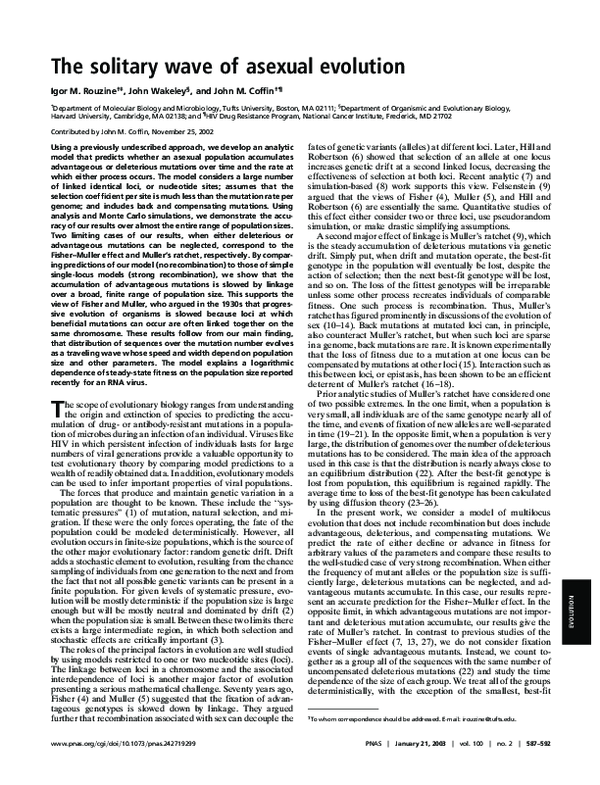 (PDF) The solitary wave of asexual evolution
