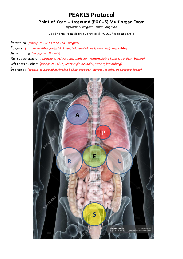 (PDF) Point-of-Care-Ultrasound (POCUS) Multiorgan Exam