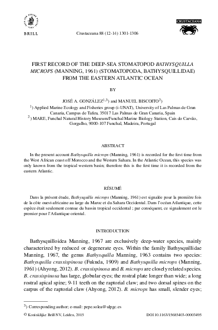 (PDF) First record of the deep-sea stomatopod Bathysquilla microps ...