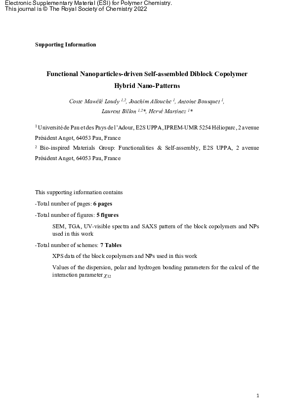 (PDF) Functional nanoparticle-driven self-assembled diblock copolymer hybrid nano-patterns ...