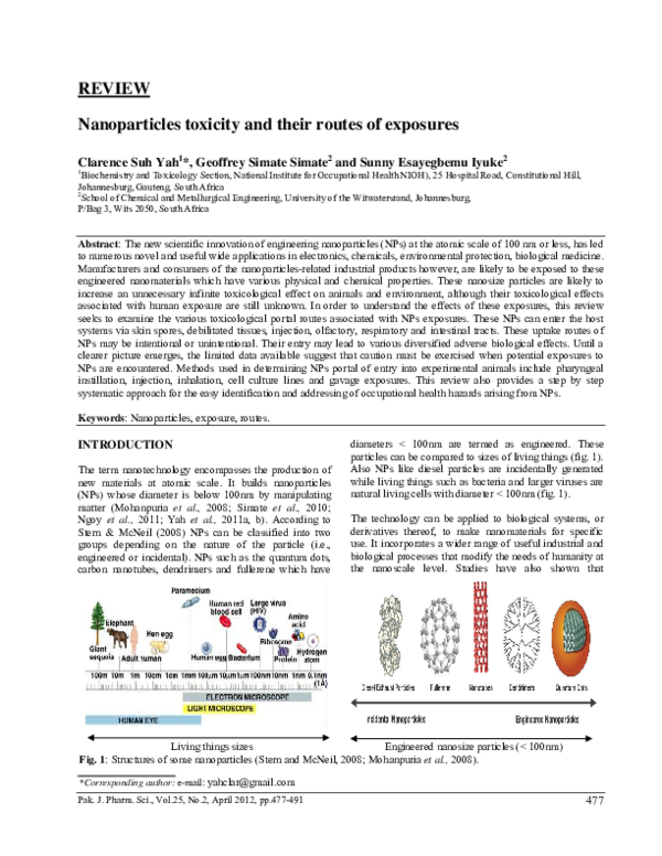 (PDF) A Review of Nanoparticles Toxicity and Their Routes of Exposures