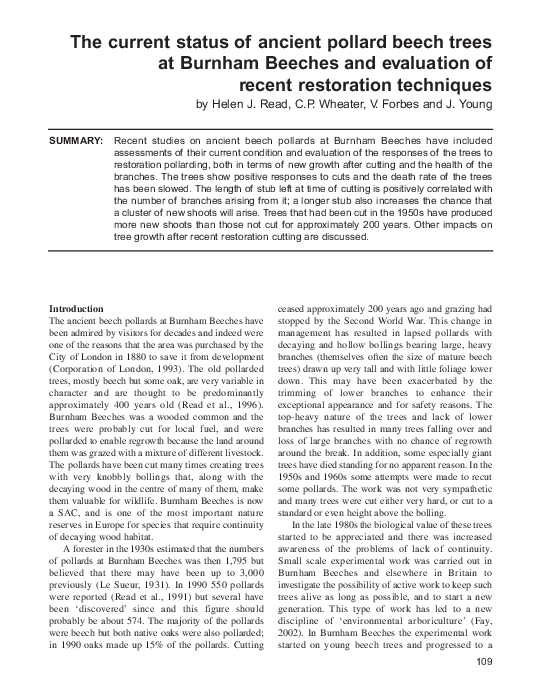 (PDF) The current status of ancient pollard beech trees at Burnham ...