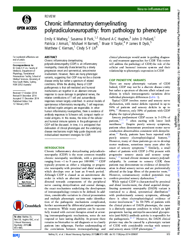 (PDF) Chronic inflammatory demyelinating polyradiculoneuropathy: from pathology to phenotype