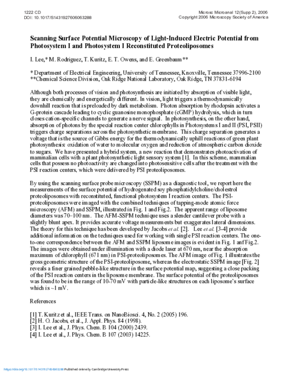 (PDF) Scanning Surface Potential Microscopy of Light-Induced Electric ...