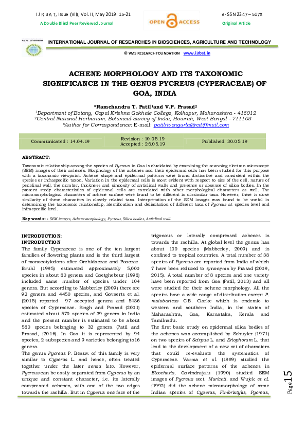 (PDF) Achene Morphology and Its Taxonomic Significance in the Genus ...