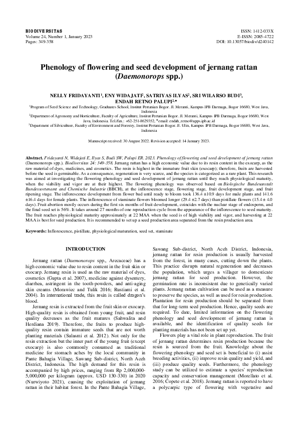 (PDF) Phenology of flowering and seed development of jernang rattan ...