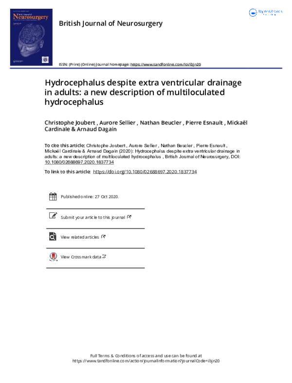 (PDF) Hydrocephalus despite extra ventricular drainage in adults: a new ...