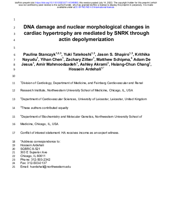 (PDF) DNA damage and nuclear morphological changes in cardiac hypertrophy are mediated by SNRK ...