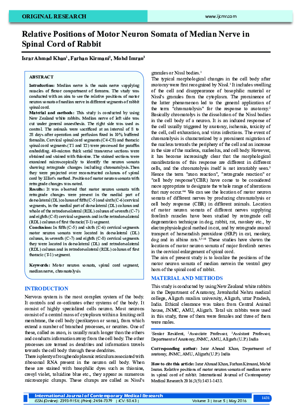 (PDF) Relative Positions of Motor Neuron Somata of Median Nerve in ...