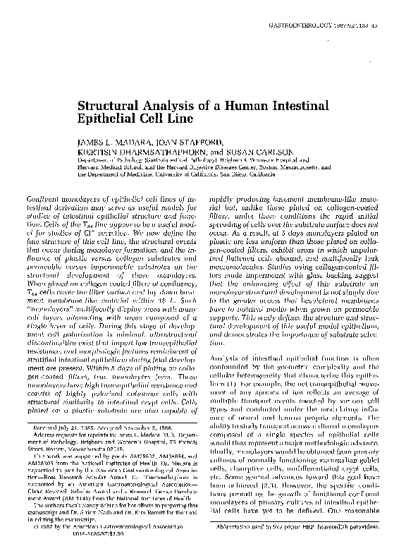 (PDF) Structural Analysis of a Human Intestinal Epithelial Cell Line