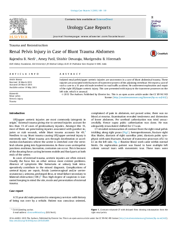 (PDF) Isolated Renal Pelvis Injury Due to Blunt Abdominal Trauma