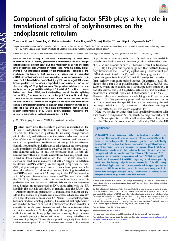 (PDF) Component of splicing factor SF3b plays a key role in ...