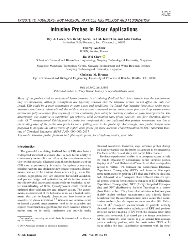 (PDF) Intrusive probes in riser applications