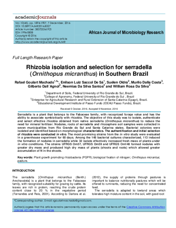 (PDF) Rhizobia isolation and selection for serradella (Ornithopus ...