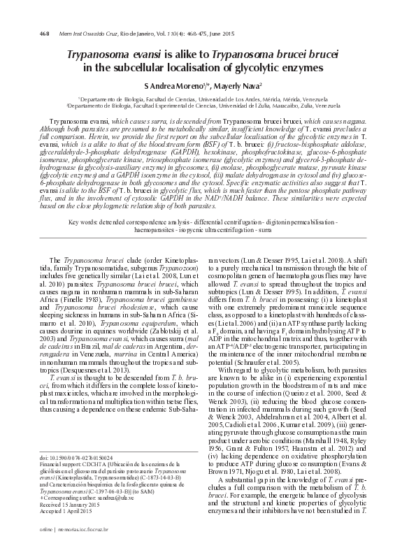 (PDF) Trypanosoma evansi is alike to Trypanosoma brucei brucei in the ...