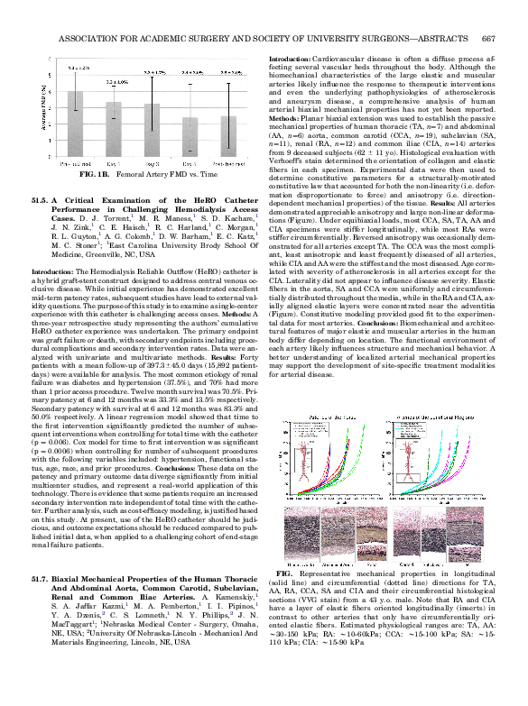 (PDF) HeRO Catheter Efficacy in Hemodialysis Cases