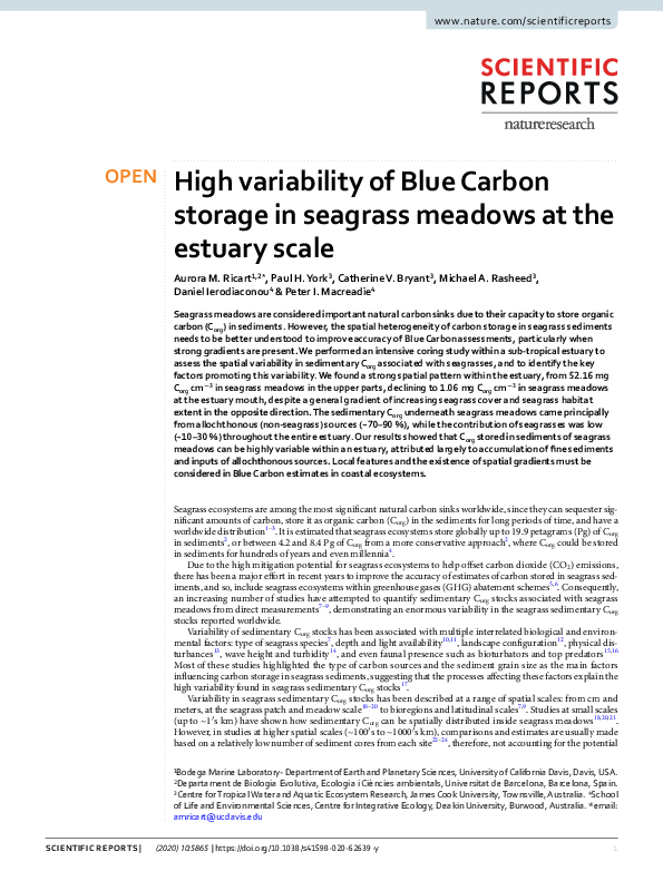 (PDF) High variability of Blue Carbon storage in seagrass meadows at the estuary scale | Michael ...