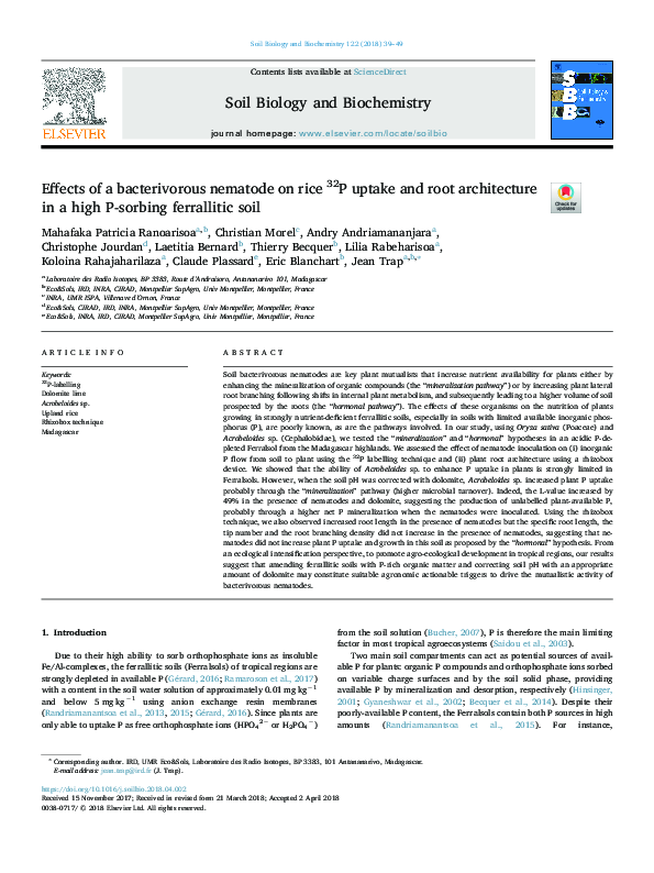 (PDF) Effects of a bacterivorous nematode on rice 32P uptake and root ...