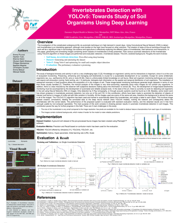 (PDF) Invertebrates Detection with YOLOv5: Towards Study of Soil ...