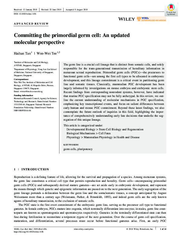 (PDF) Committing the primordial germ cell: An updated molecular perspective