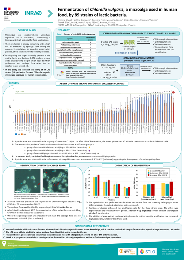 (PDF) Fermentation of Chlorella vulgaris, a microalga used in human ...