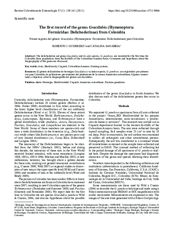 (PDF) The first record of the genus Gracilidris (Hymenoptera ...