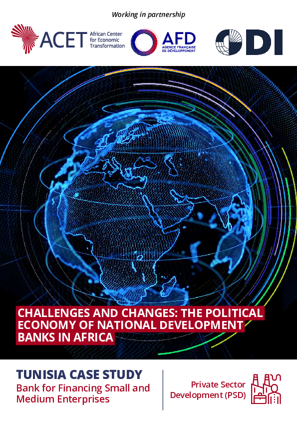 (PDF) CHALLENGES AND CHANGES: THE POLITICAL ECONOMY OF NATIONAL DEVELOPMENT BANKS IN AFRICA ...
