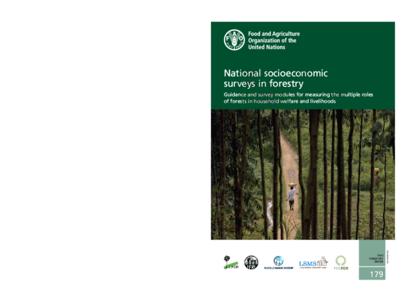 (PDF) National Socioeconomic Surveys in Forestry: Guidance and Survey ...